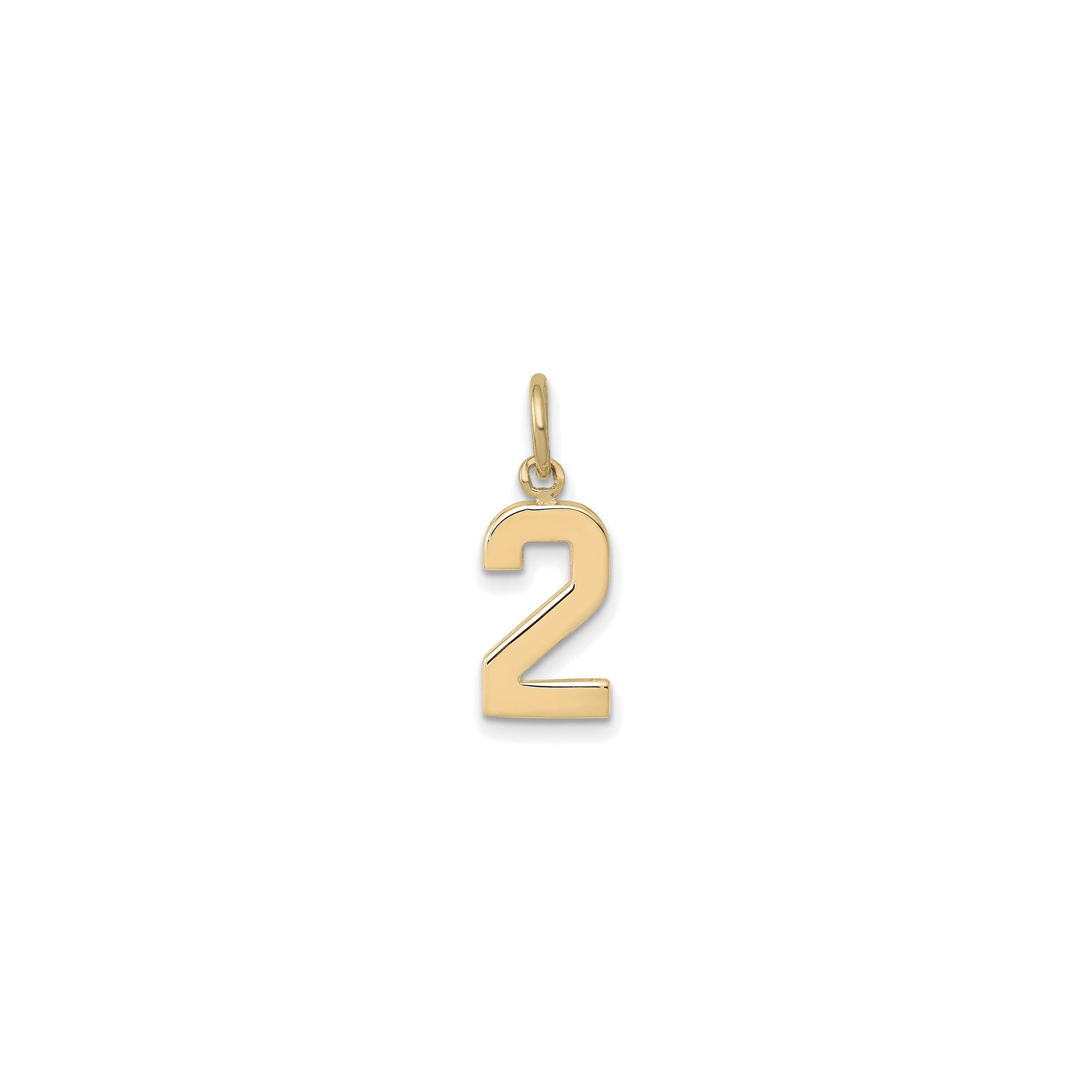 Varsity Number 2 Pendant (14K) – Lucky D